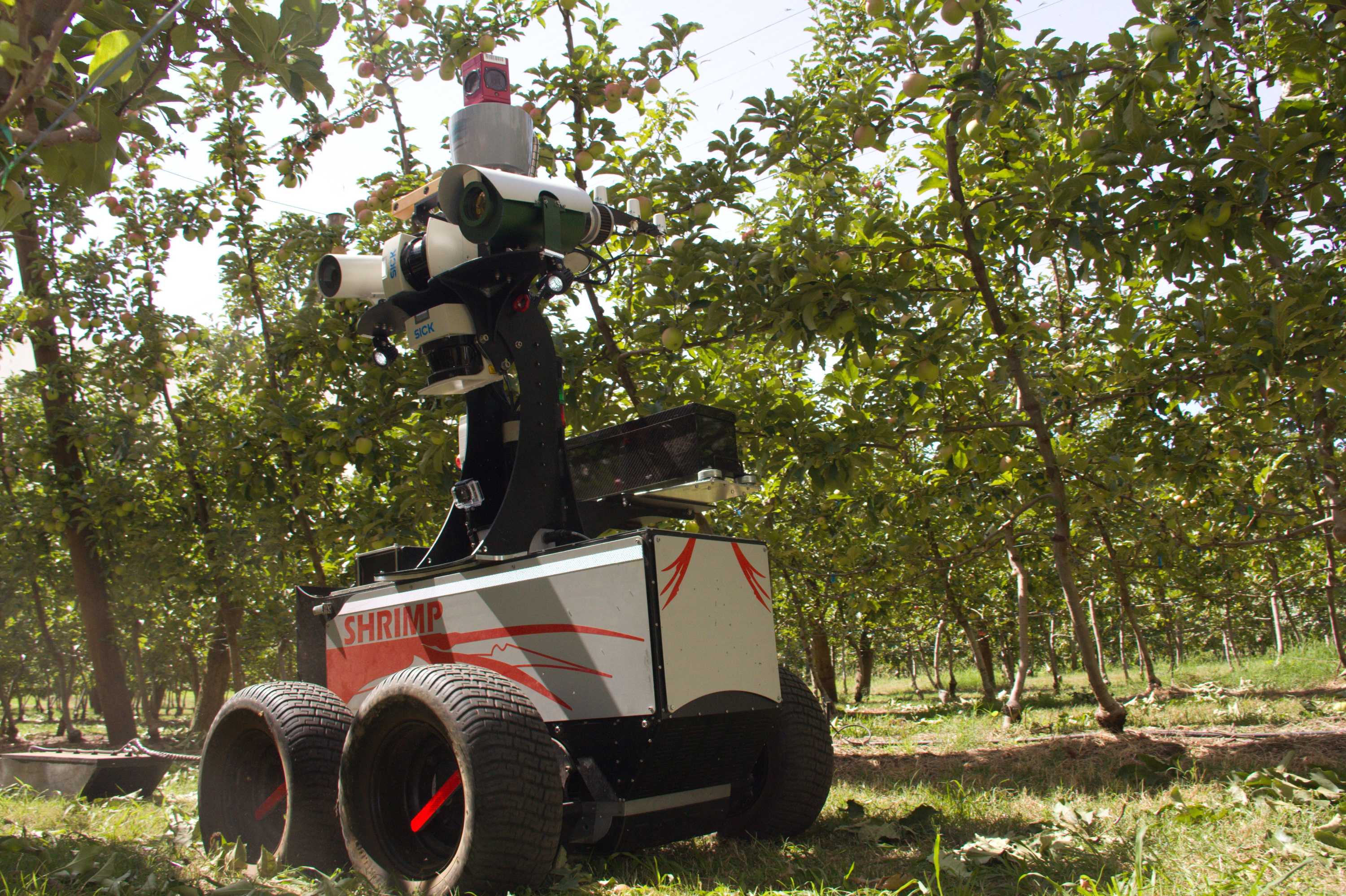 Robots capture pollination problems in orchard research - ABC News