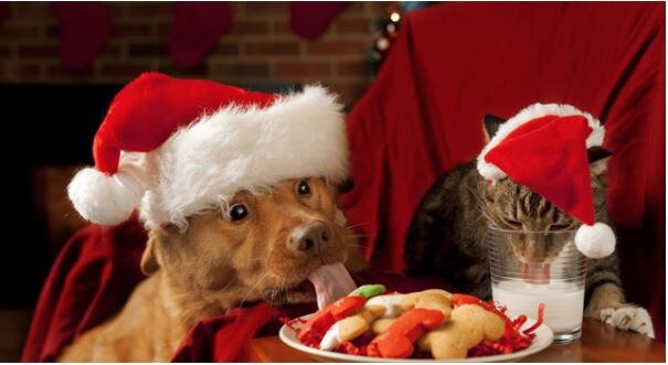 The dying days of controversial union and construction watchdogs ABCC ...