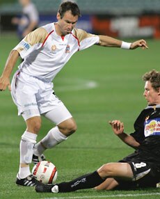 Roar finalise Milicic signing - ABC News