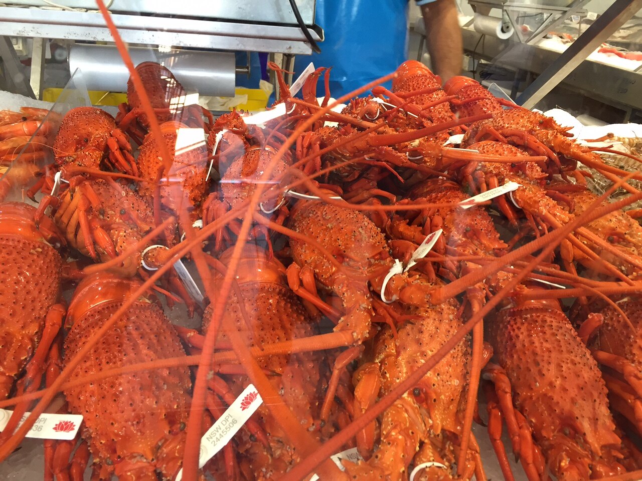 Canberra seafood lovers queue from 3:30am for Christmas day fare - ABC News