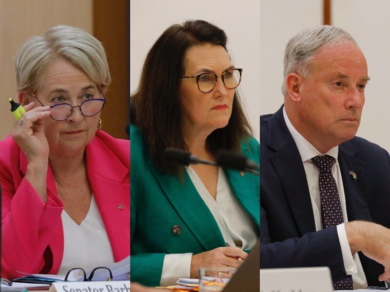 Senators on all sides of politics agree Canberra has a consultant ...