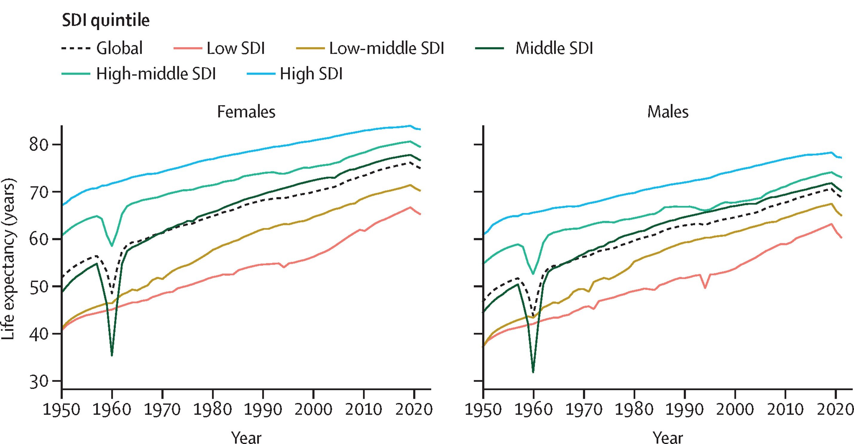 Global life expectancy fell by 1.6 years during first two years of ...