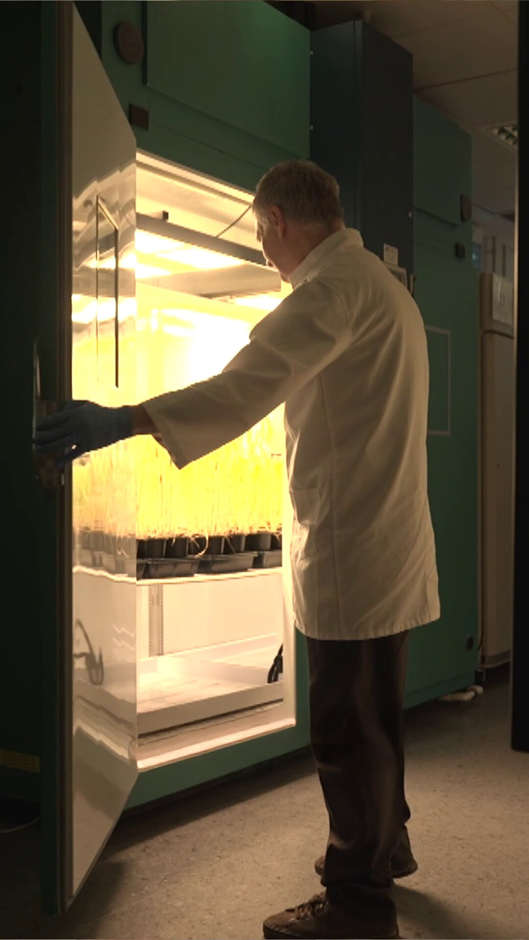 Can humans grow plants in space? - ABC News