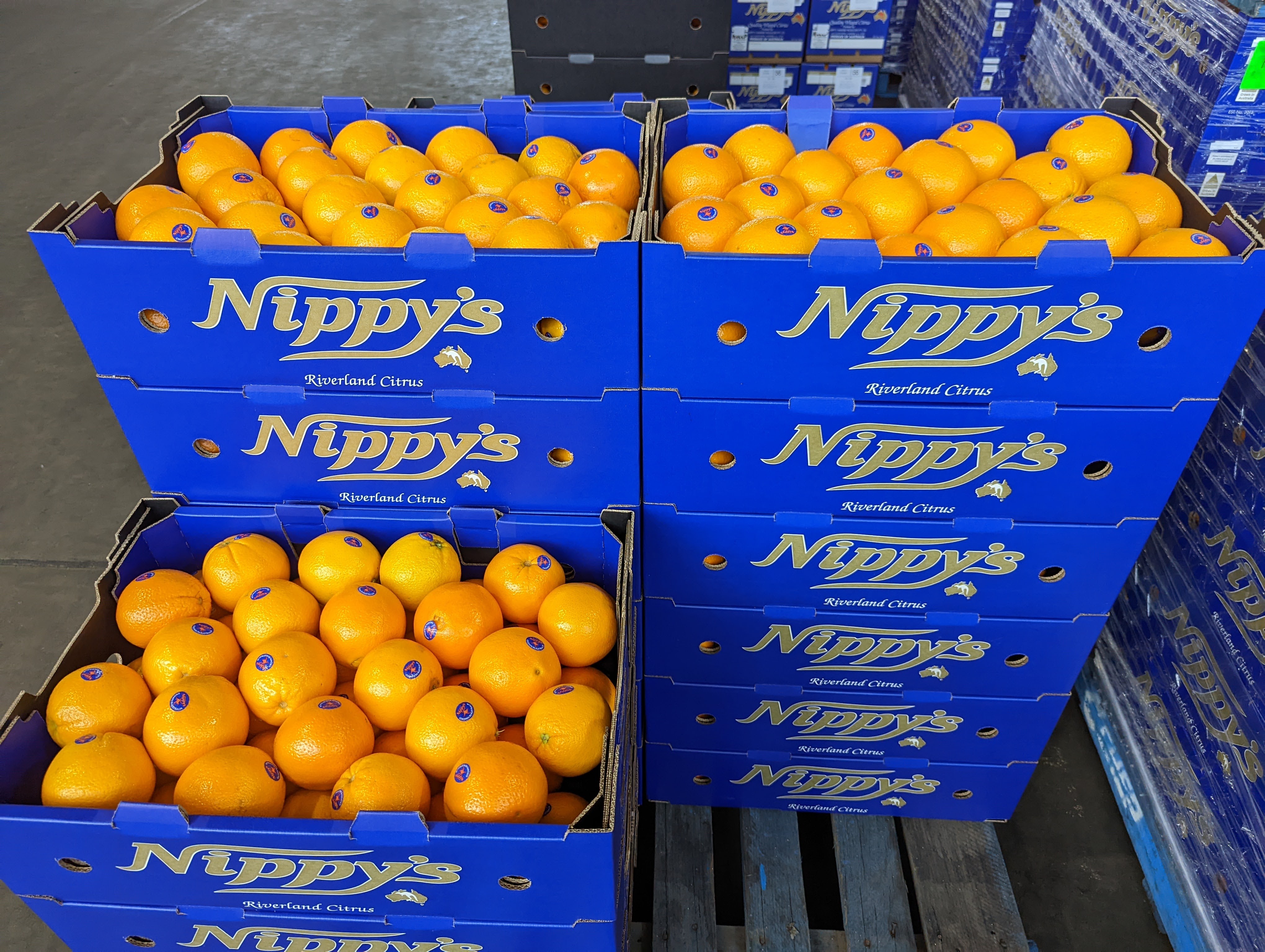 Juice company Nippy's fined, criminally convicted over scalping of 18 ...