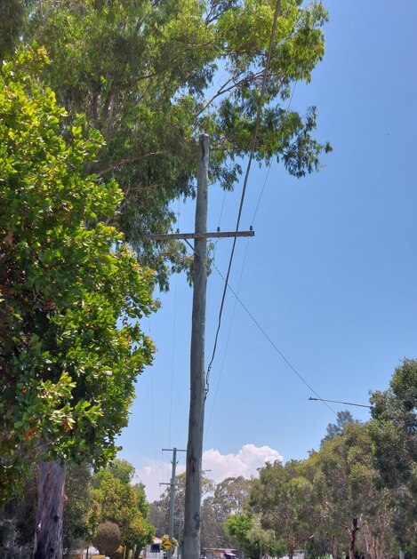 Brisbane storm electrocution of Manendra Kopparthi raises concerns ...