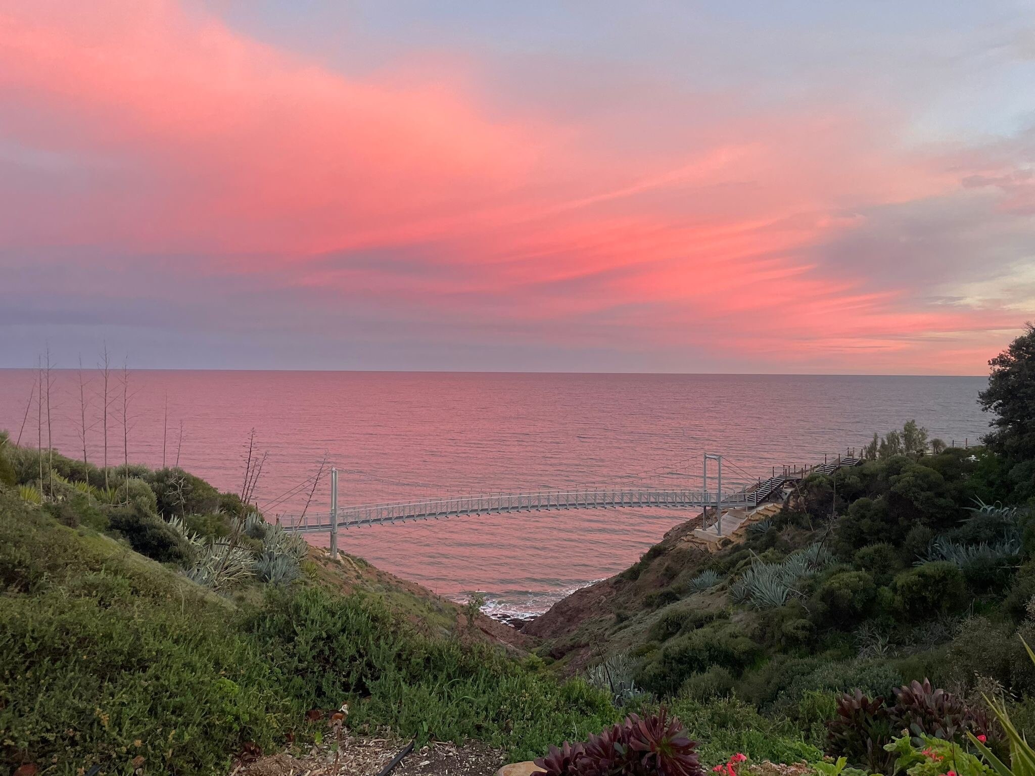 The suspense is over! Hallett Cove bridges open Saturday - ABC listen