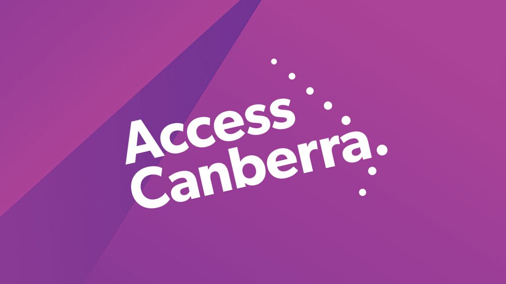 Public servants under investigation for allegedly lying about ...