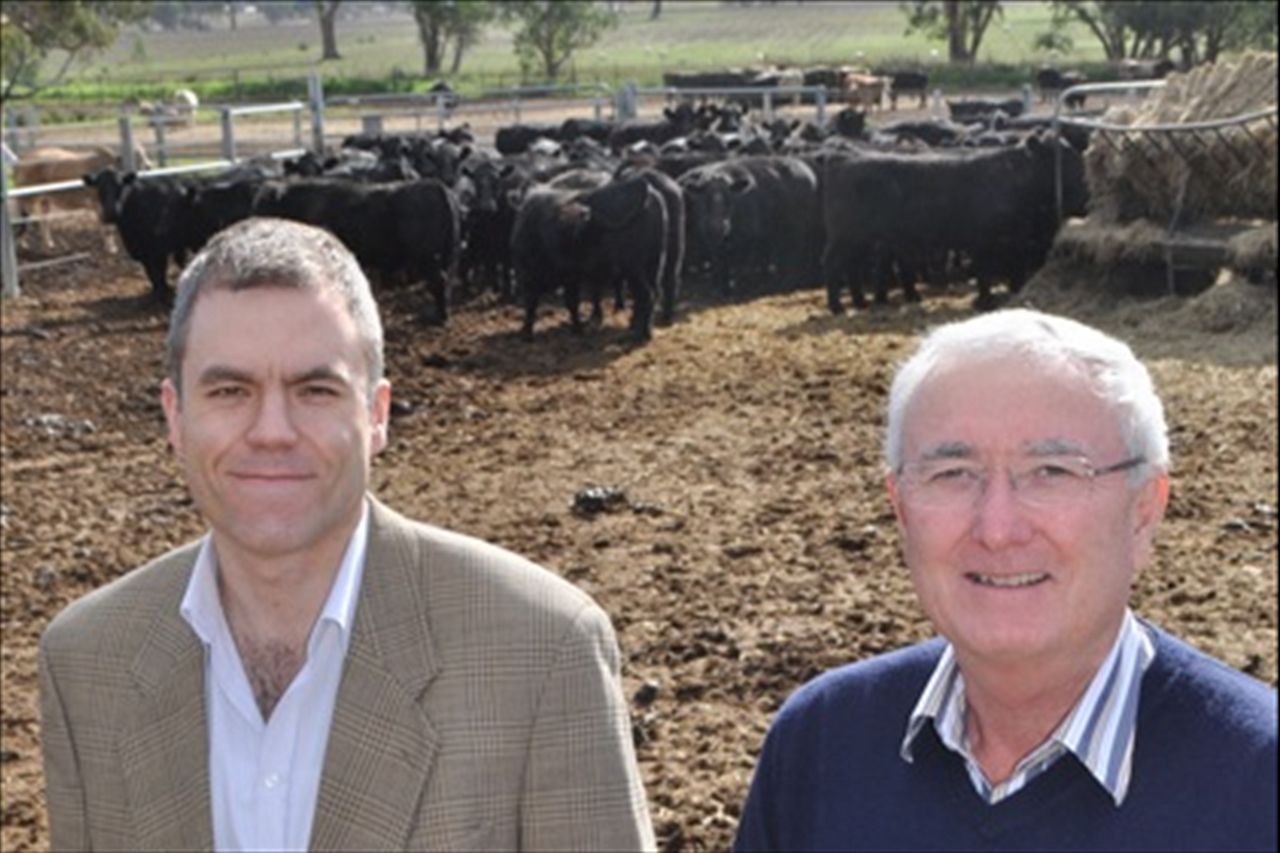 Teys Australia using CCTV in abattoirs - ABC News