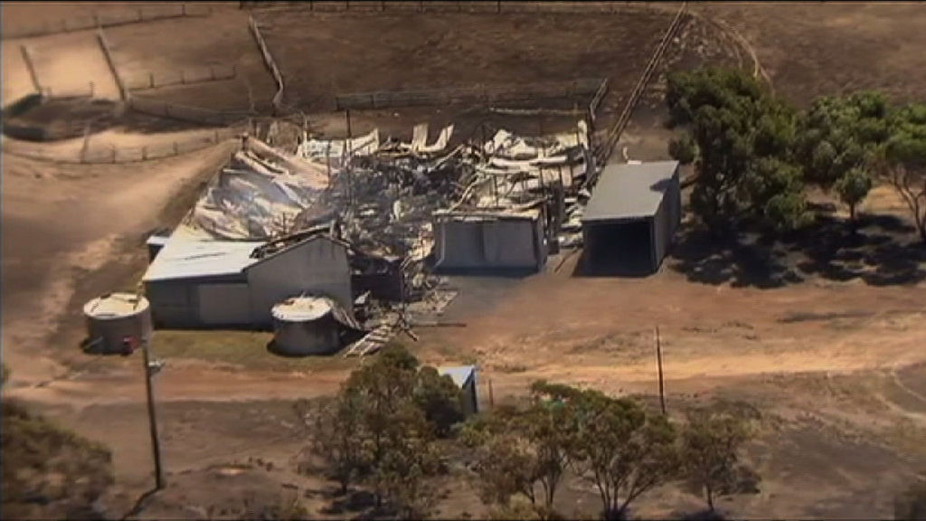 From the Ashes : Esperance Fires - ABC News