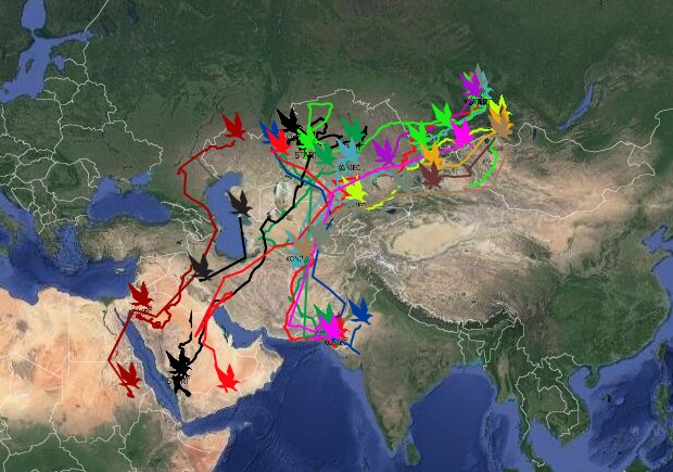 Russian eagles' global roaming sends scientists broke as tracking ...