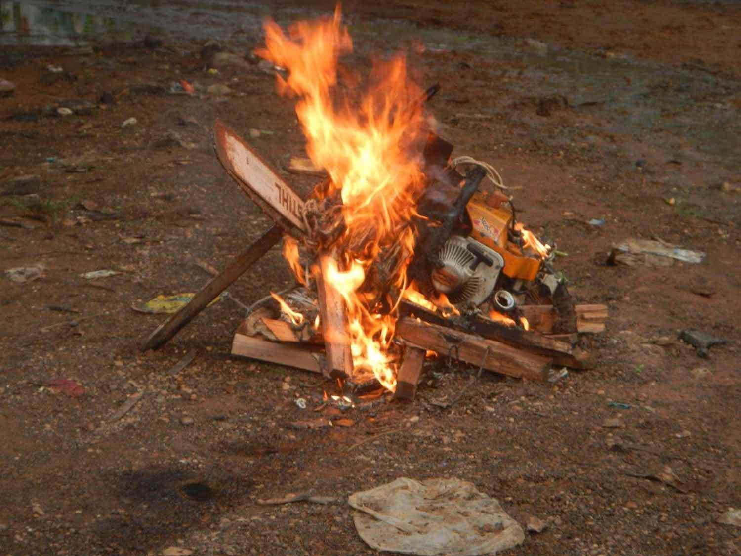 The family risking it all to save a Cambodian forest - ABC News