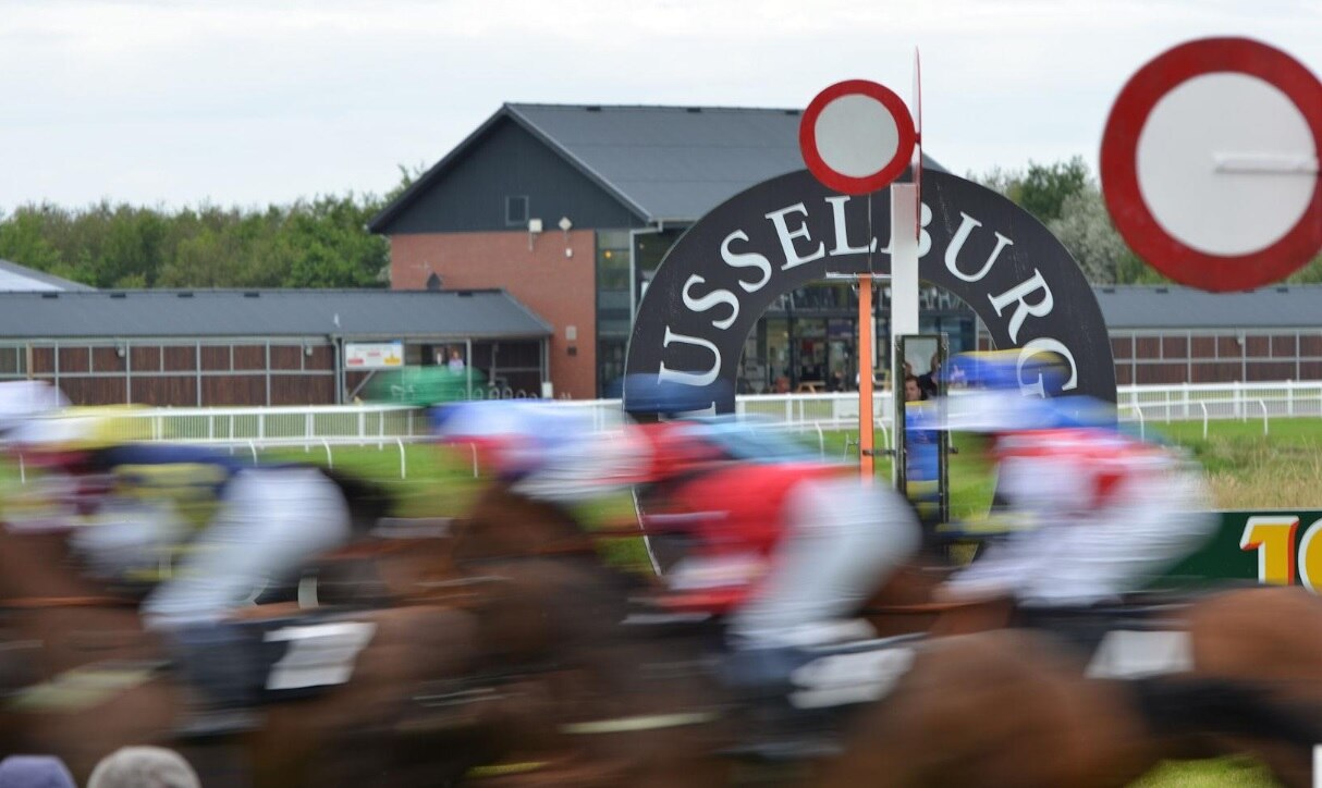 Four horses die in a single day at Musselburgh racecourse, prompting ...