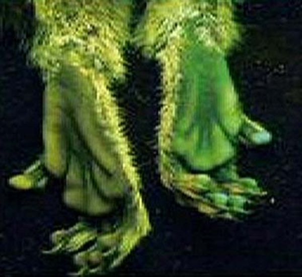 Glowing green monkeys set 'dangerous precedent' - ABC News