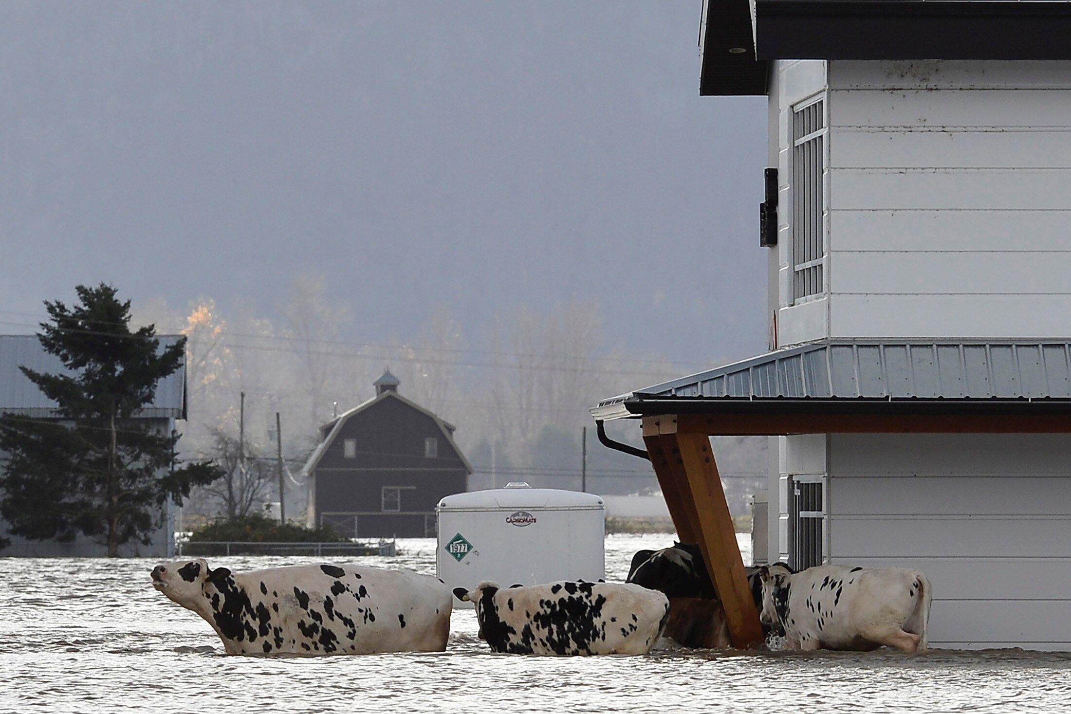 Rescuers search for people buried in Canadian landslides - ABC News