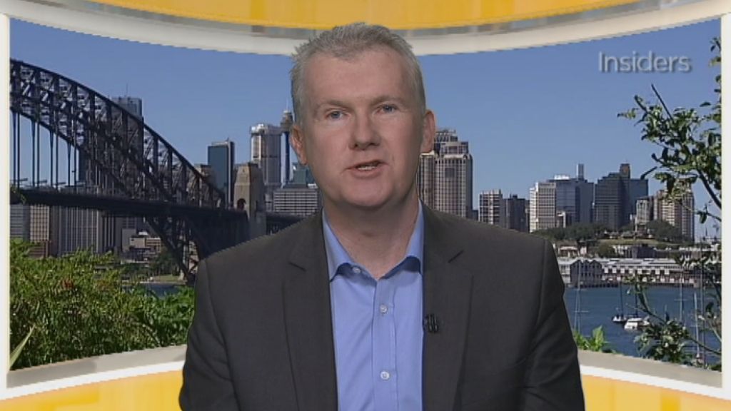 Tony Burke joins Insiders - ABC News