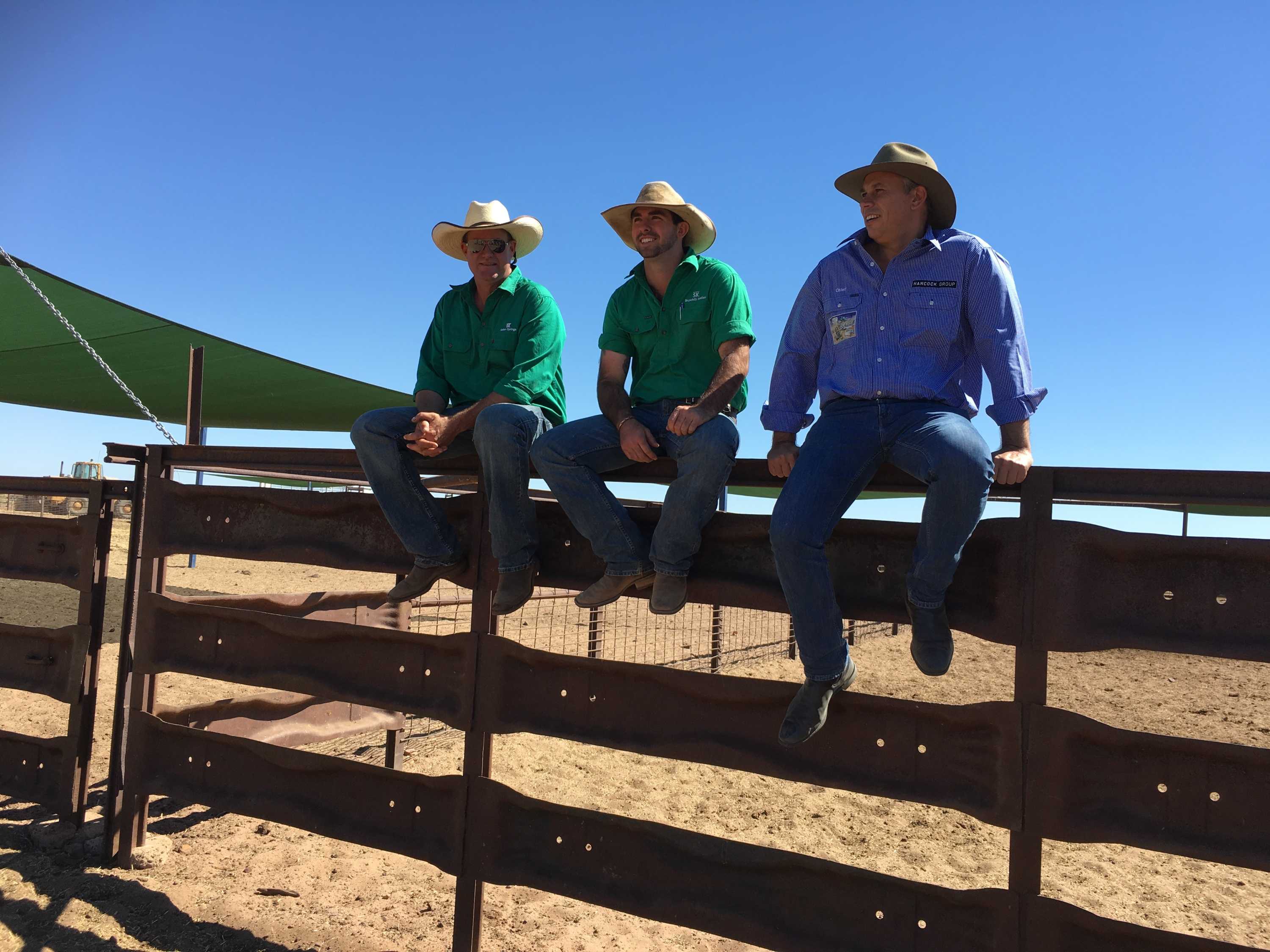 Gina Rinehart ushers in a new Kidman cattle era with big plans for ...