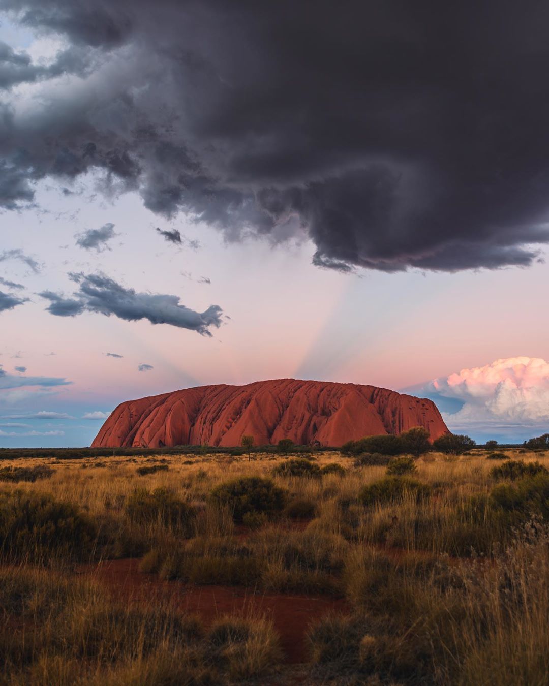 Queensland mining deaths, home sperm-testing kits, and Uluru tourists ...