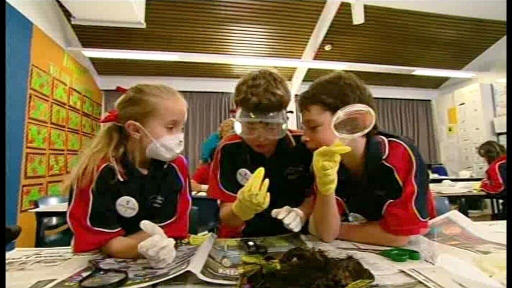 Science under school spotlight - ABC News