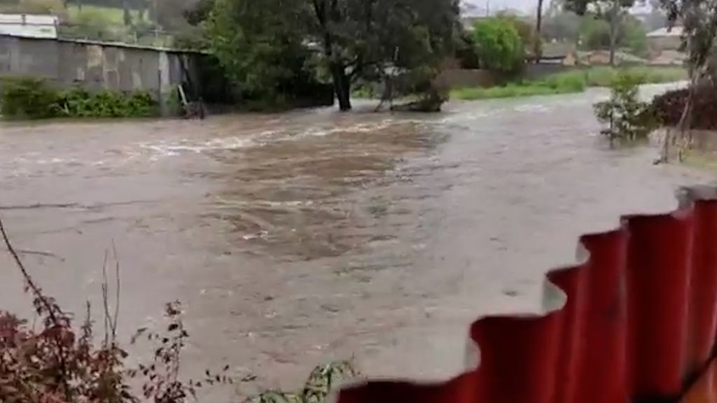 The Mill in Castlemaine - ABC News