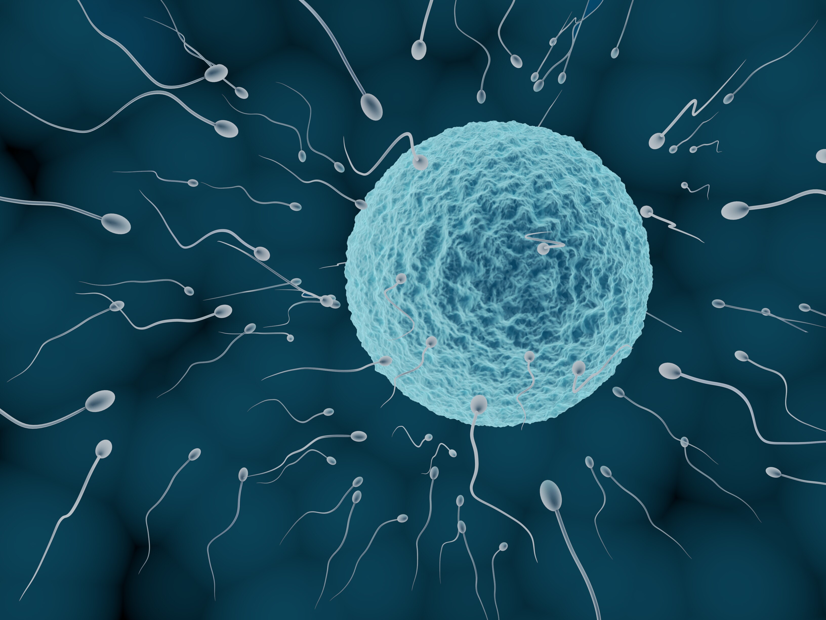 The search for a male contraceptive pill edges closer - ABC listen