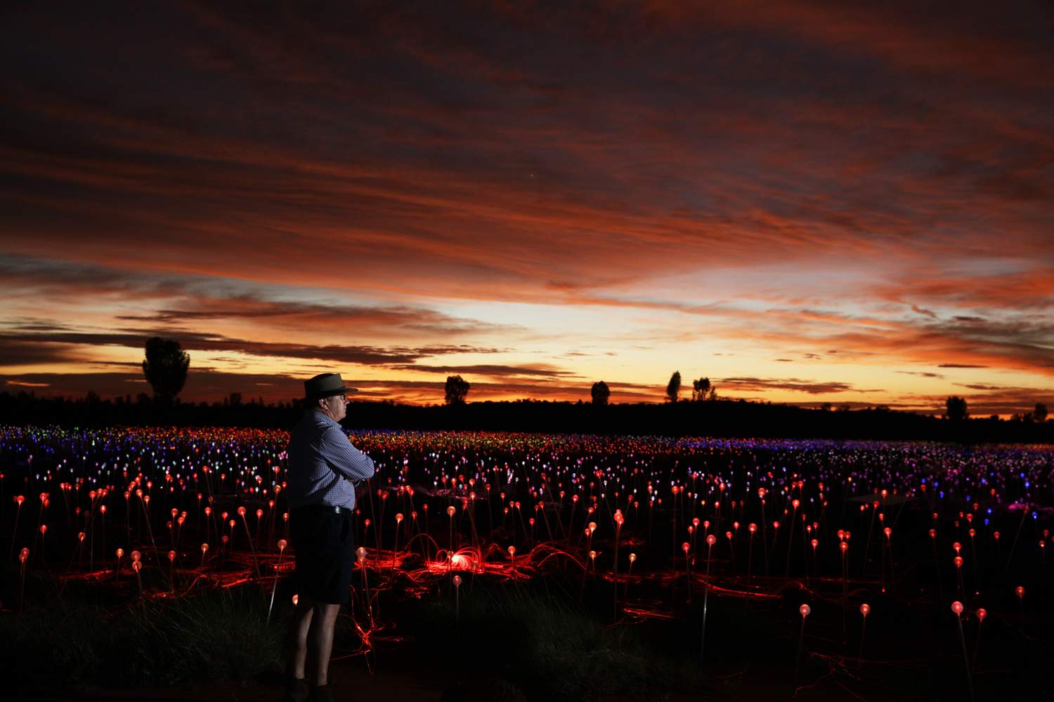 Uluru transformed by Field of Light exhibition with 15 tonnes of solar ...