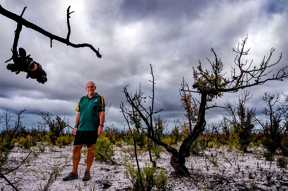 'Dad's Army' volunteer reflects on the Woodgate fires - ABC listen