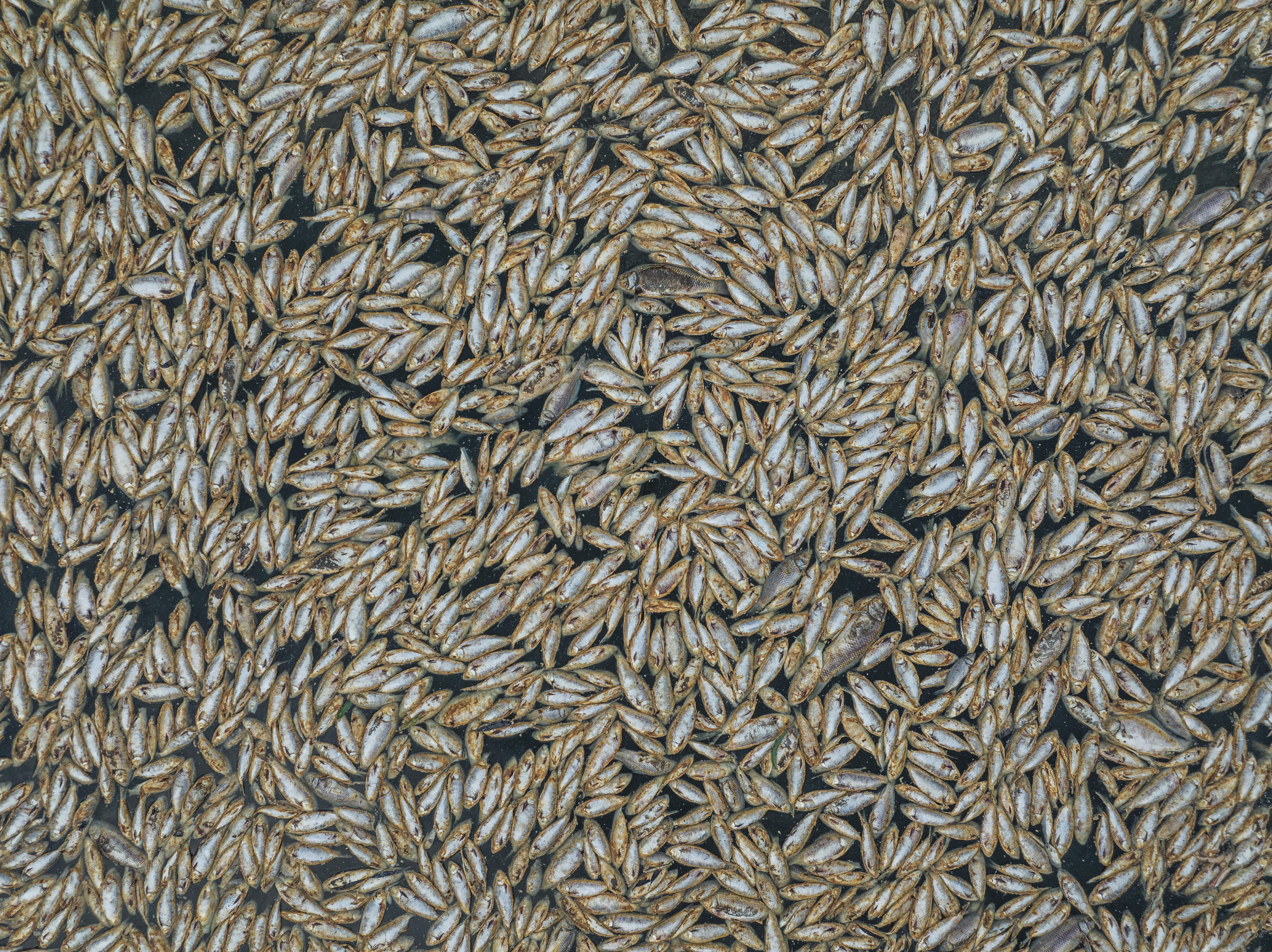 What now for the Murray Darling Basin Plan? - ABC listen