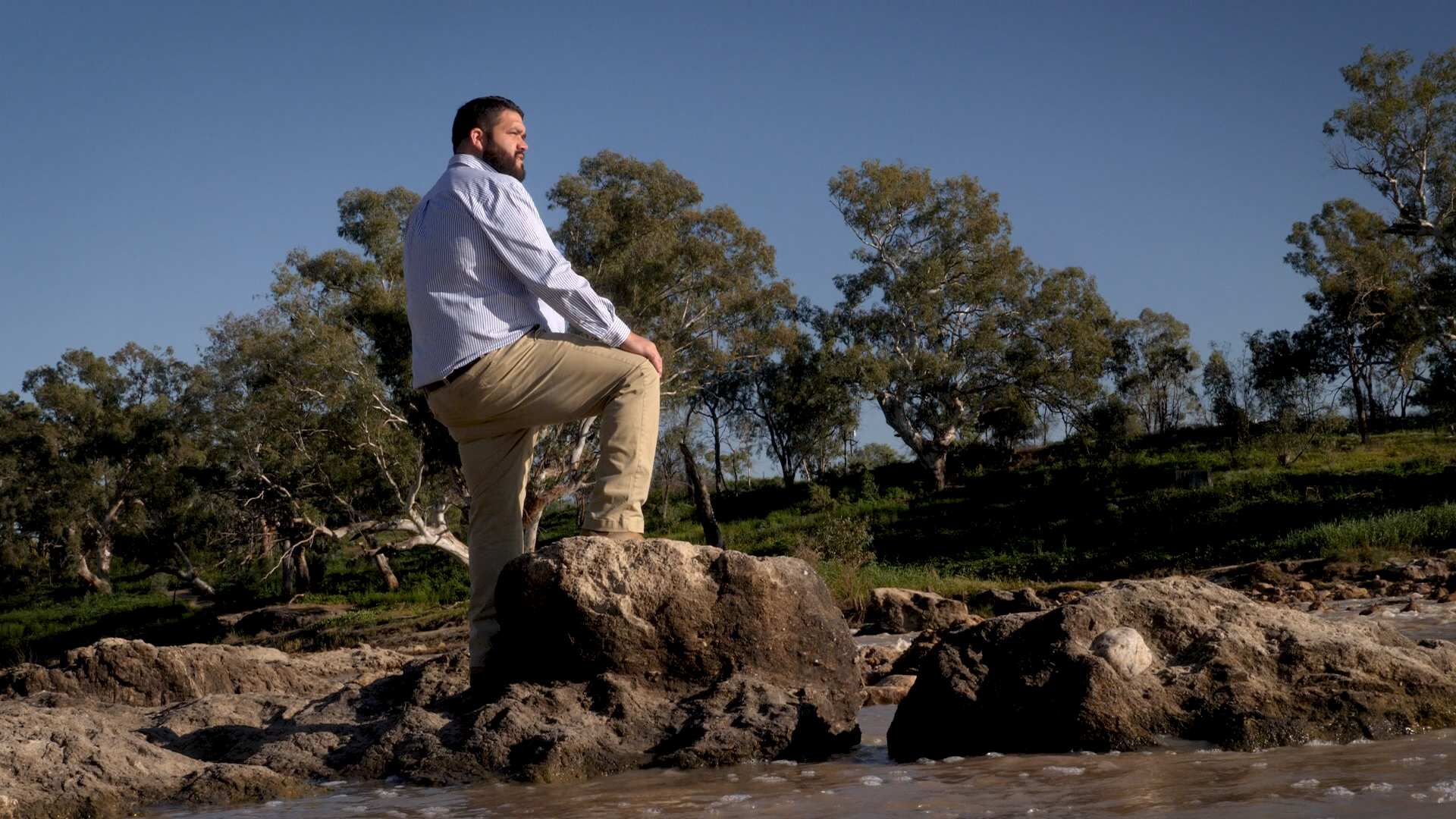 Darling River wildlife, vegetation show signs of life as they come back ...