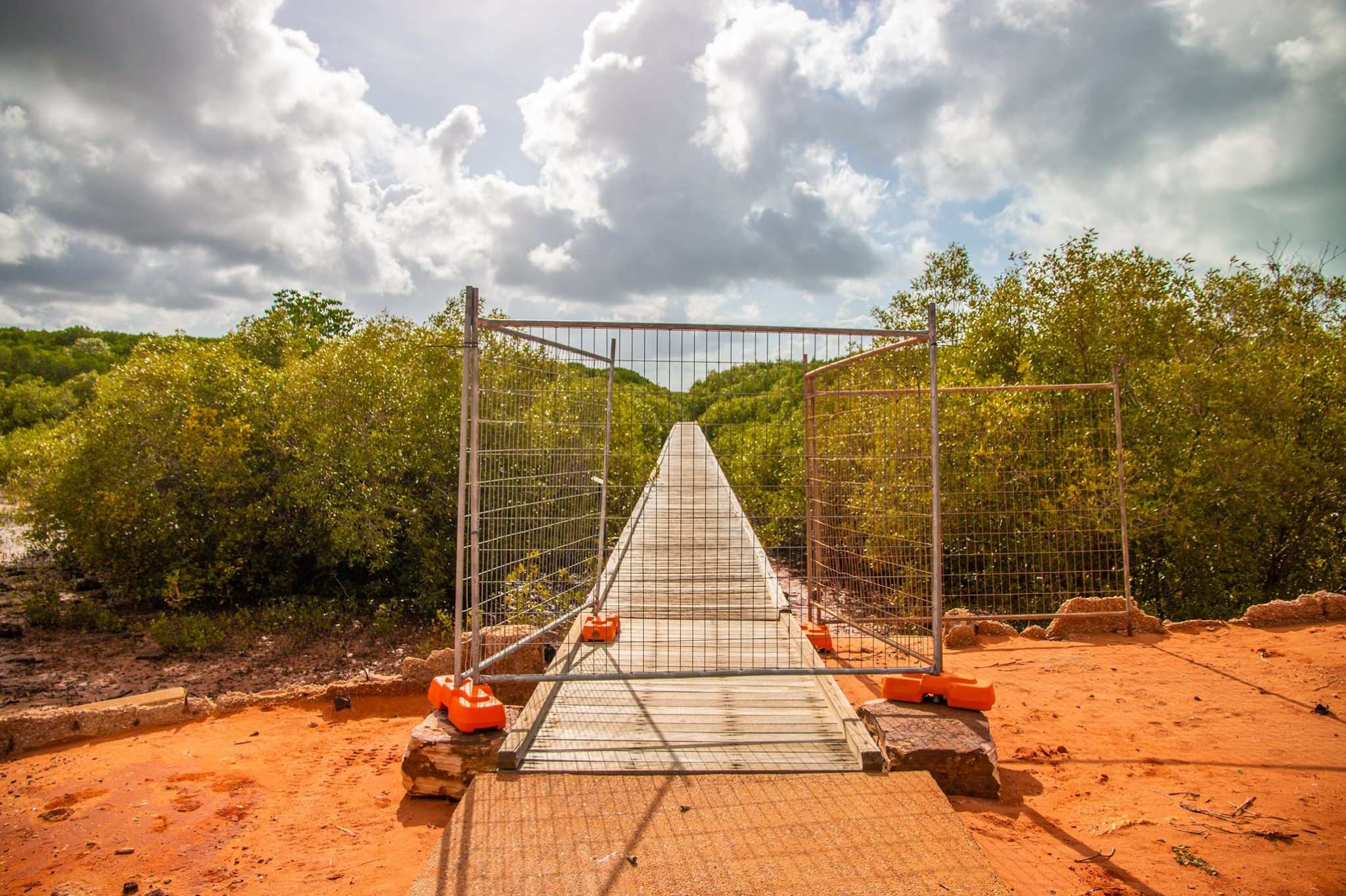 Only known habitat of Broome mangrove snake approved for clearing by WA ...