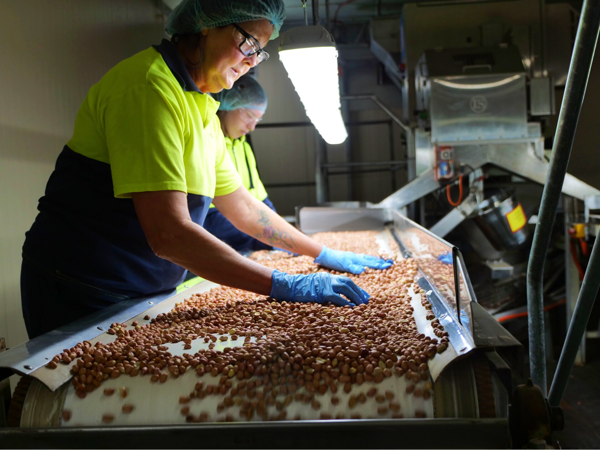 Most peanuts Australians eat are foreign and farmers don't have the ...