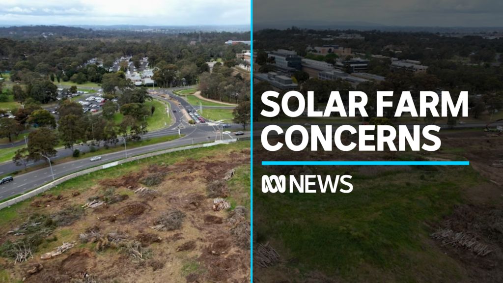 Solar Energy - Topic - ABC News