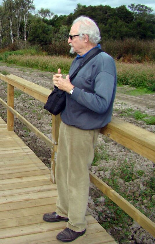 Artist Charles McCubbin dies at 79 - ABC News