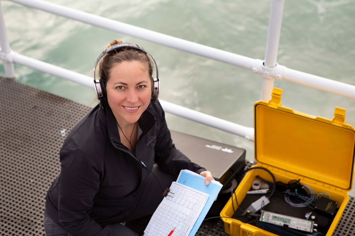 Snot and blubber of interest to WA whale research group as whale ...