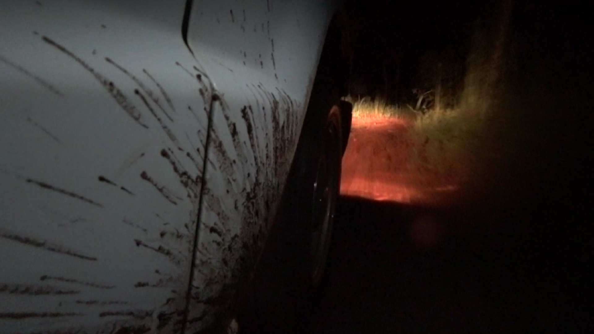 'I grabbed the croc by the head': The night a man saved his mother's ...