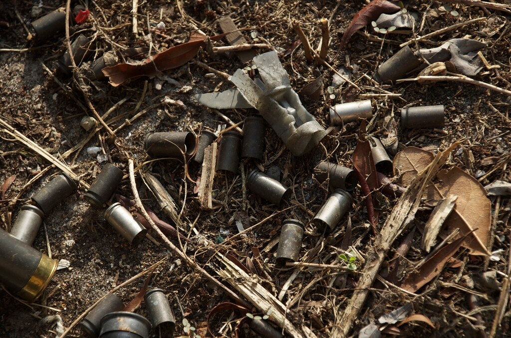 Lead in the environment - still a concern - ABC Radio National