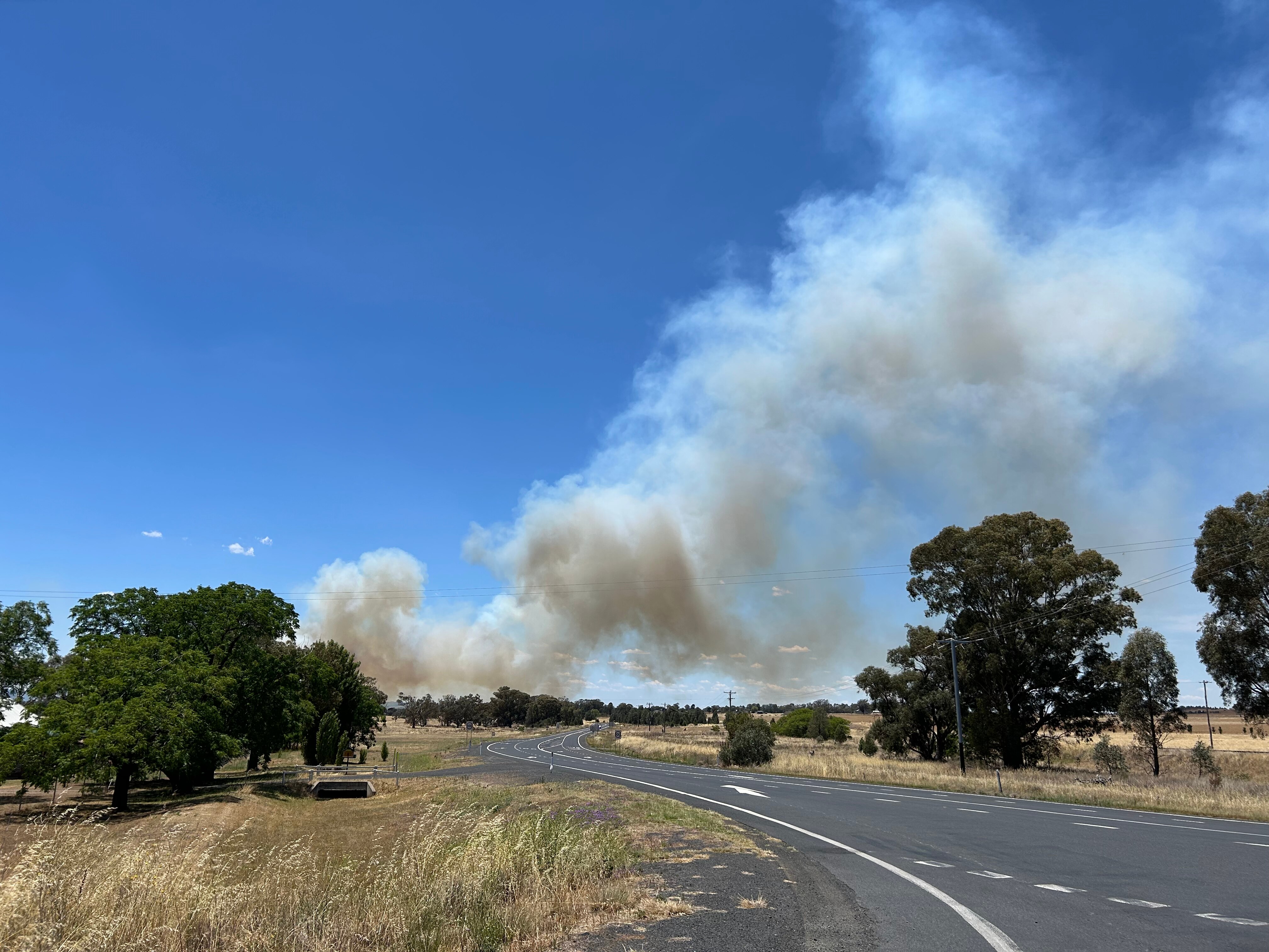 Bushfire warnings issued for much of NSW as heatwave hits state - ABC News
