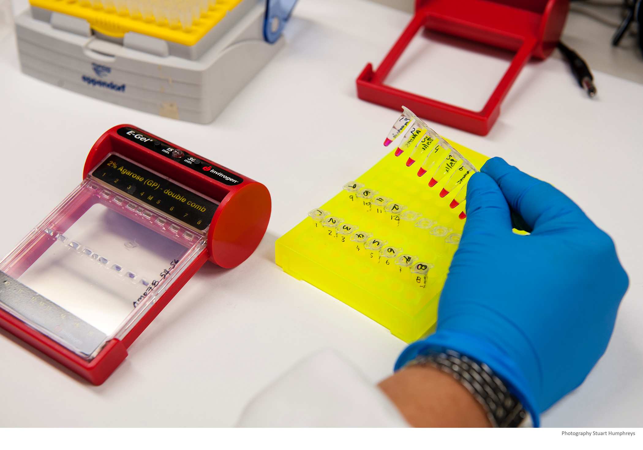 DNA uncovers even more from museum specimens - ABC listen