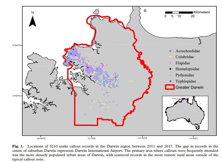 Snakes 'quite secretly' living in urban Darwin, study shows their ...
