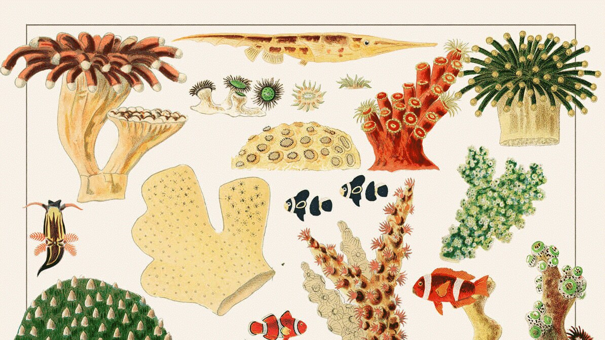 Tyne Logan - ABC News