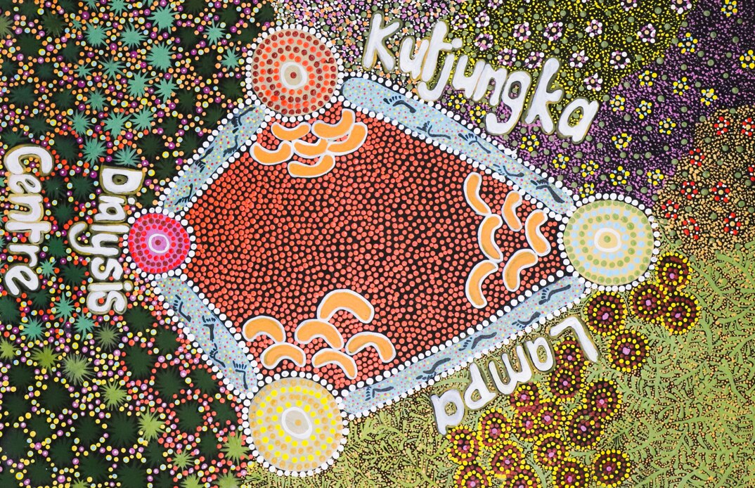 Diabetes patients in remote Balgo will soon be able to receive dialysis ...