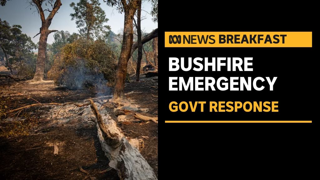 Emergency Services Minister Murray Watt on bushfires affecting south ...