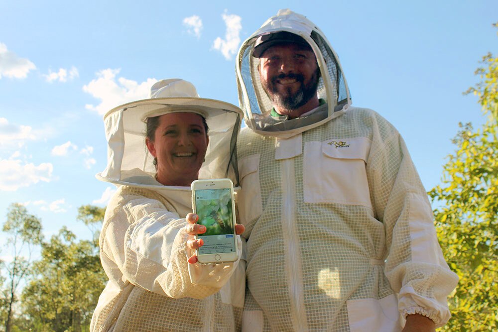 Plastic hives save hot bees in central Queensland - ABC News