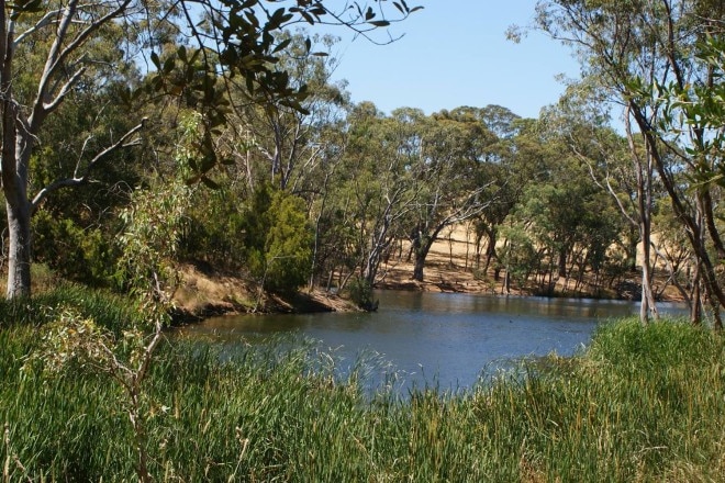 Craigburn Farm, SA - ABC listen