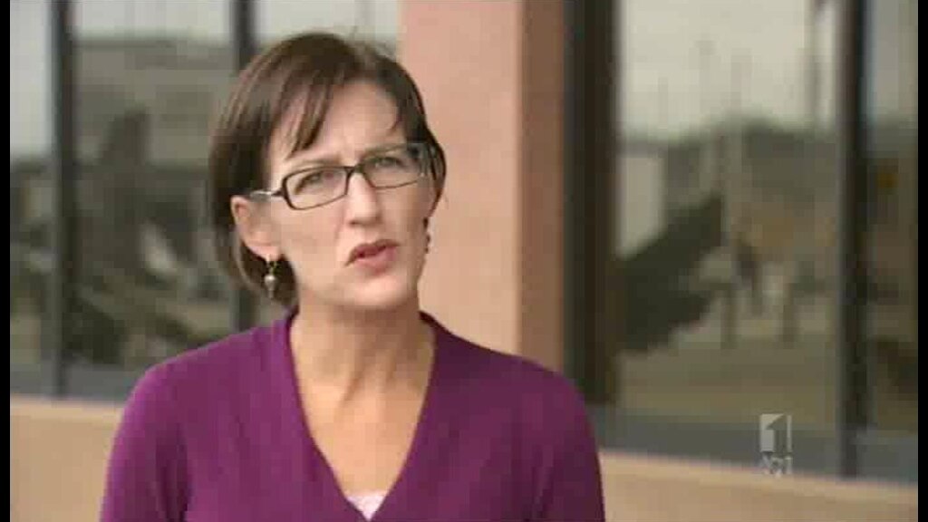 Minister sorry for forestry hand back remark - ABC News