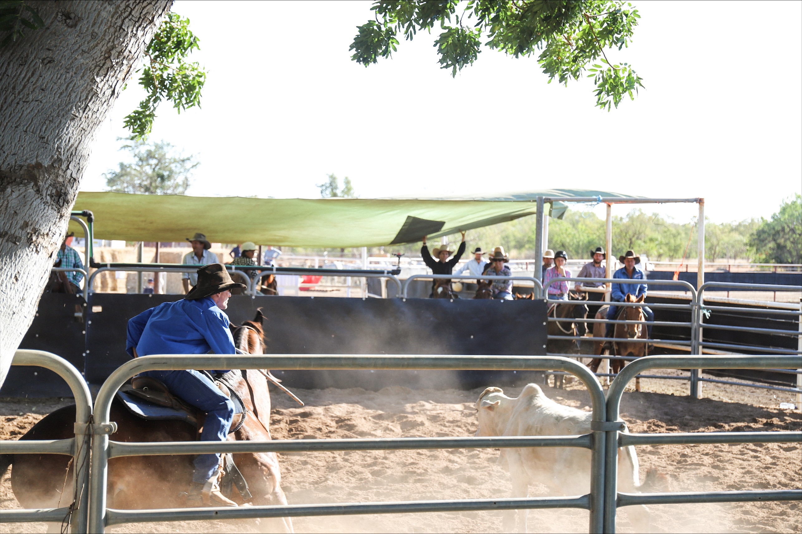 Emily Banks wins Argyle diamond in Kimberley's Jewel of the North ...