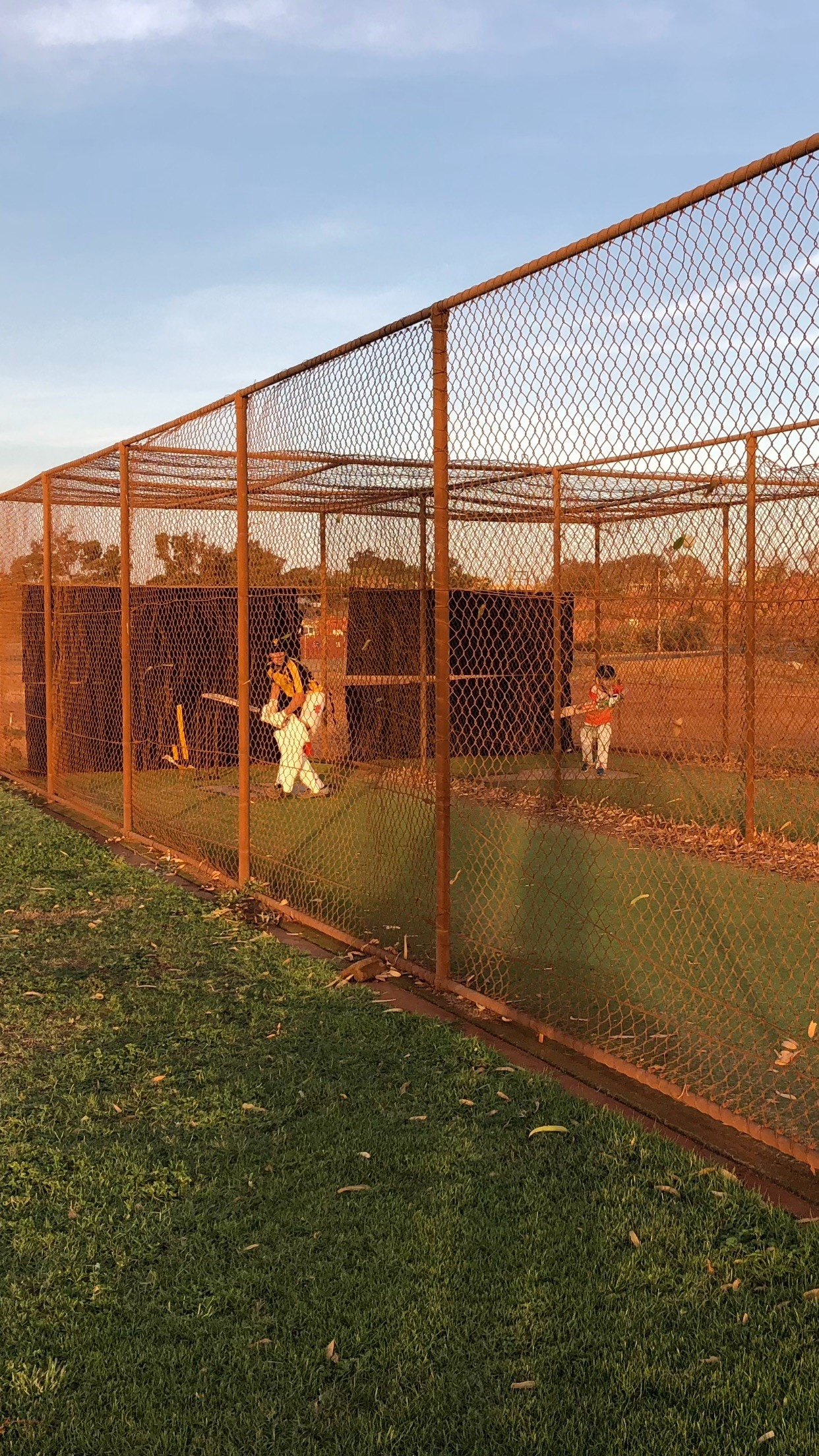 How a Pilbara upbringing shaped Josh Vernon's cricket career, from ...