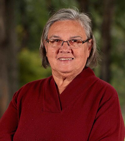 Voice detail can come after referendum: Pat Anderson - ABC listen