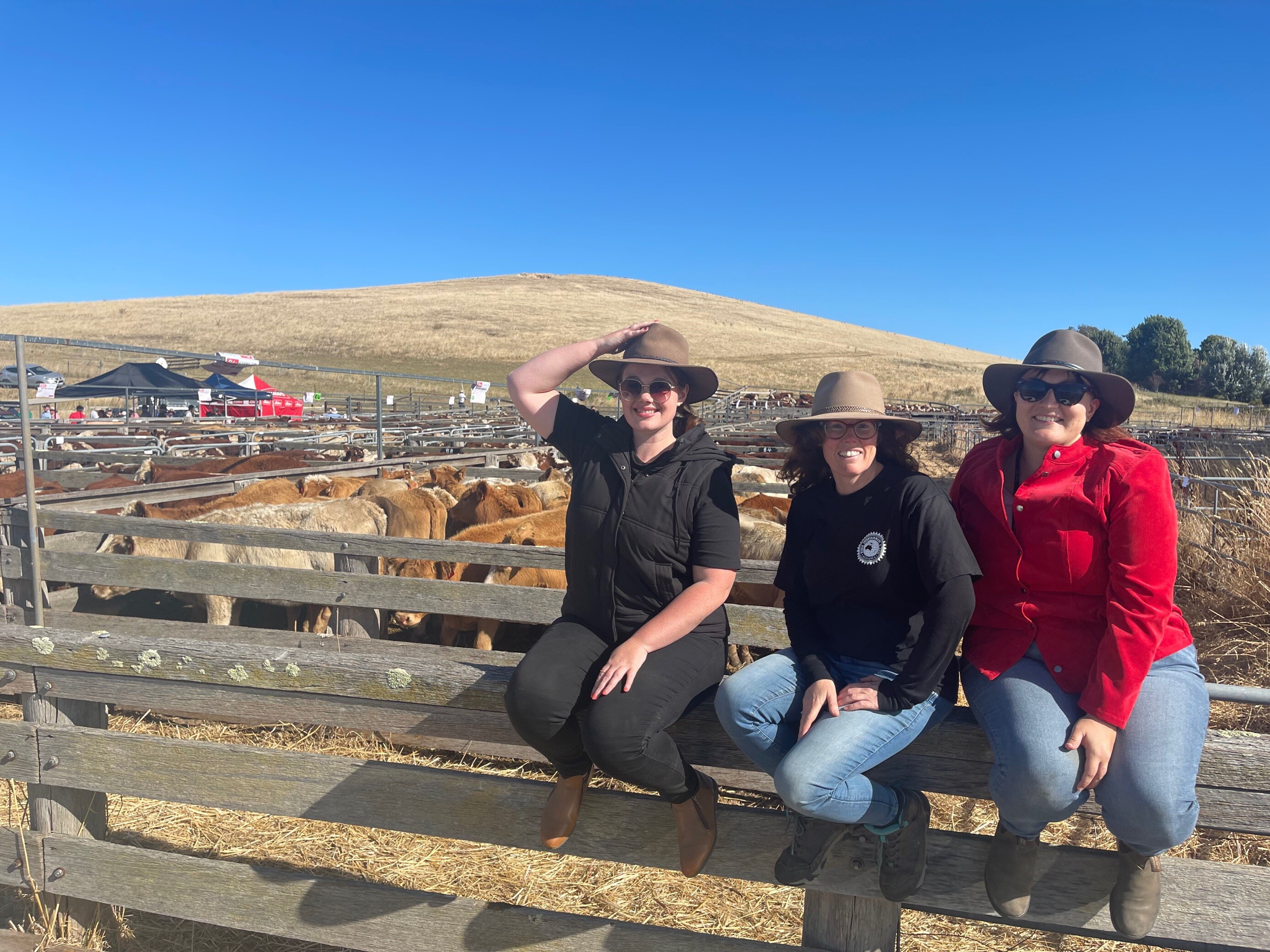 Victorian Country Hour - ABC listen