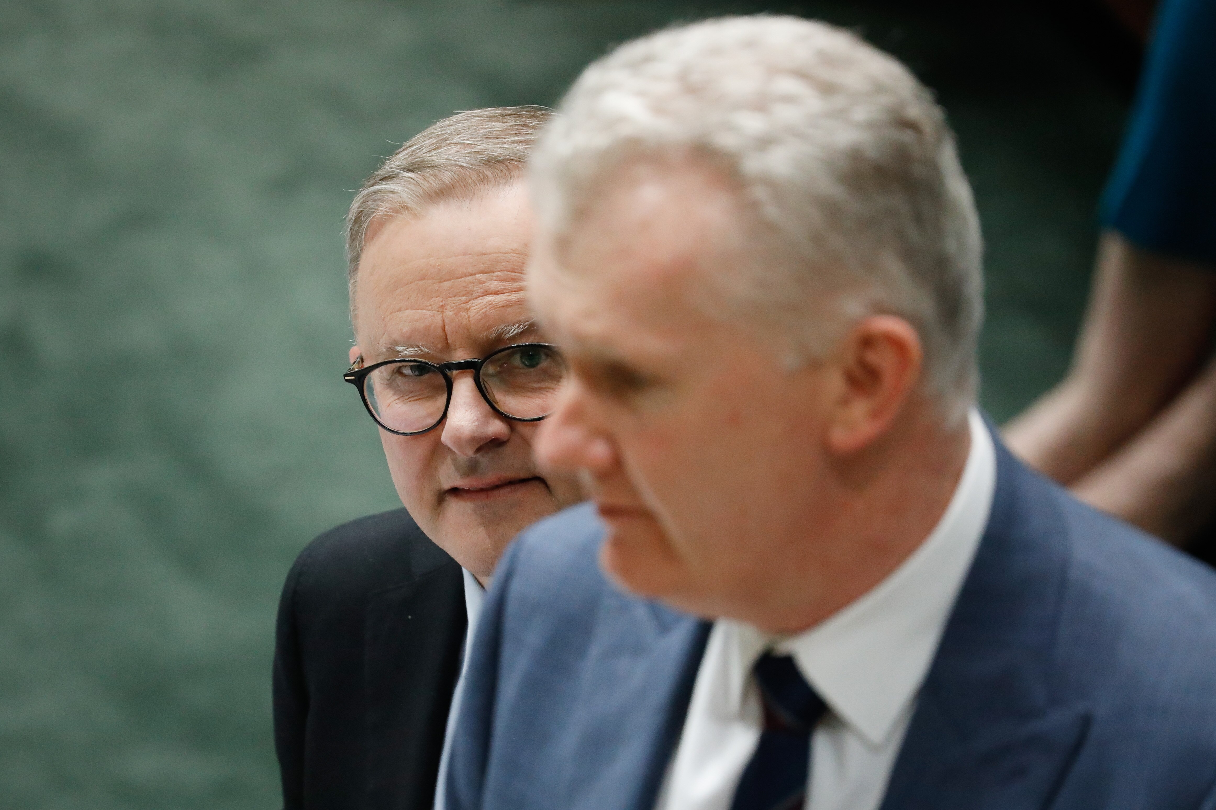 Meet whale whisperer Rod Keogh and the southern rights in his 'front ...