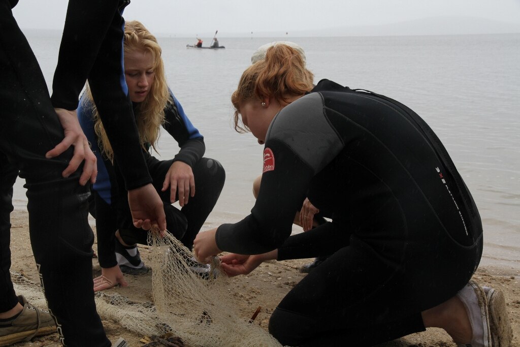 Marine science goes to school - ABC Radio National